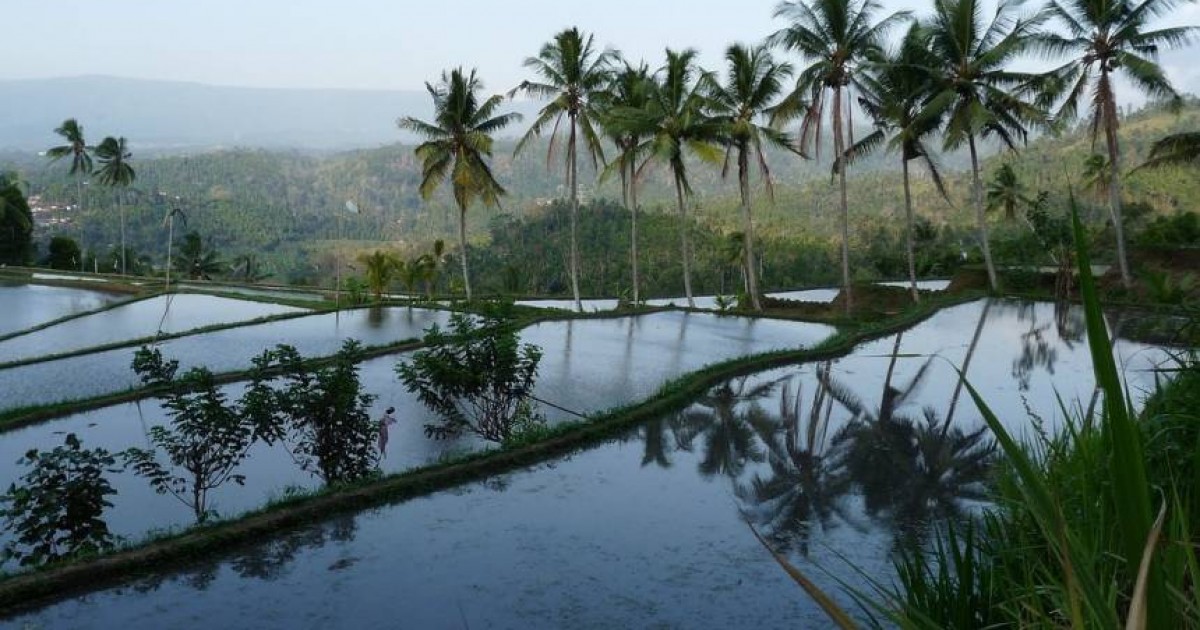 rondreis bali | Silktravel